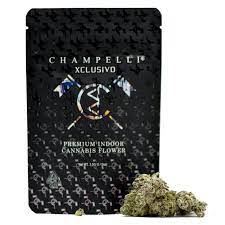 CHAMPELLI - Champelli Xclusivo